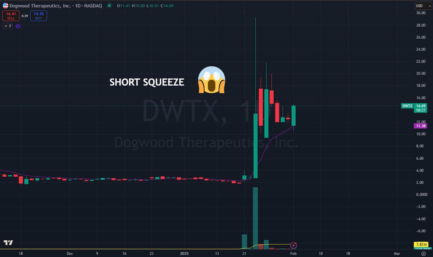 Short Squeeze Meaning and Trading Guide - Fusion Elite Trading